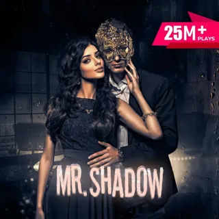 Mr. Shadow | मिस्टर शैडो