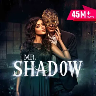 Mr. Shadow | मिस्टर शैडो